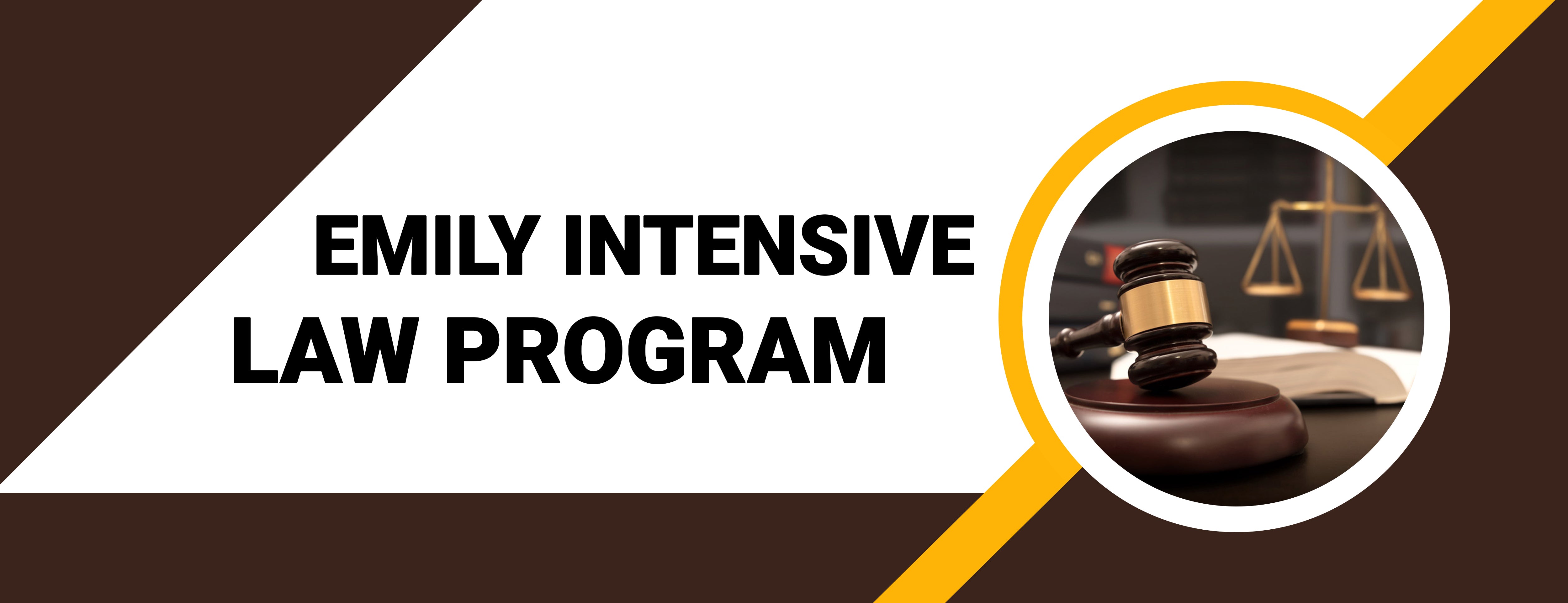 Emily Intensive Law Program – US ONLINE STORE